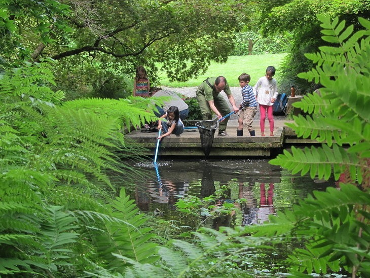 5 Ideas to Help Kids Love the Outdoors – Green Lifestyle Market