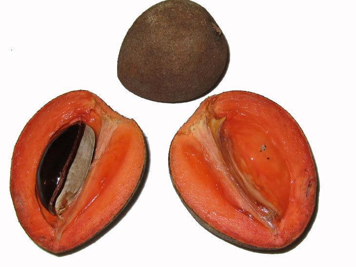 The Health Benefits of Mamey – Green Lifestyle Market